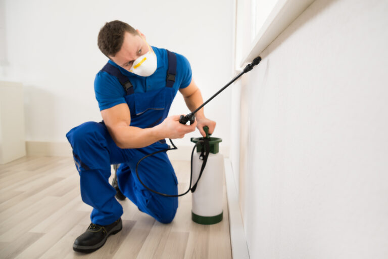 Stay Pest-Free & Stress-Free This Summer With Outer Banks Pest Control ...