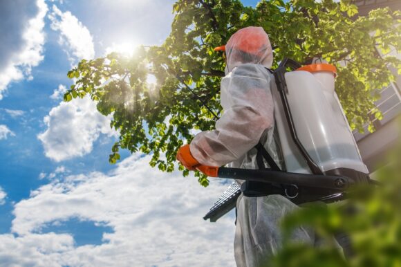 How to Pest-Proof Your Beach House Year-Round - Outer Banks Pest Control