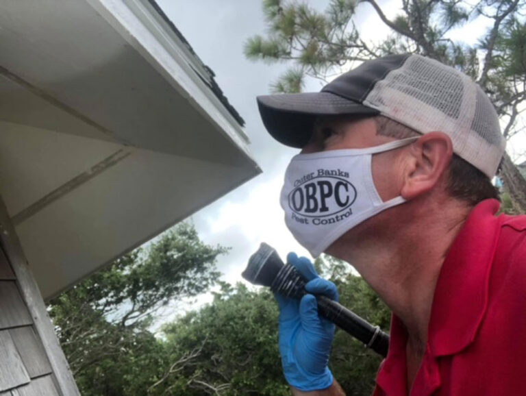 Pest Management Company in Manteo, NC | Outer Banks Pest Control